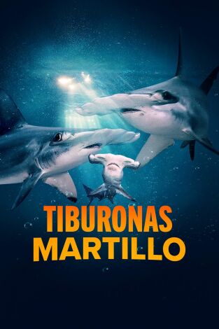 Tiburonas martillo (2024) | Movistar Plus+