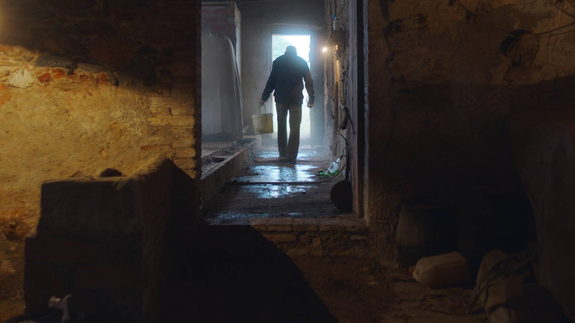 Luz en la oscuridad. Luz en la oscuridad (2024) | Movistar Plus+