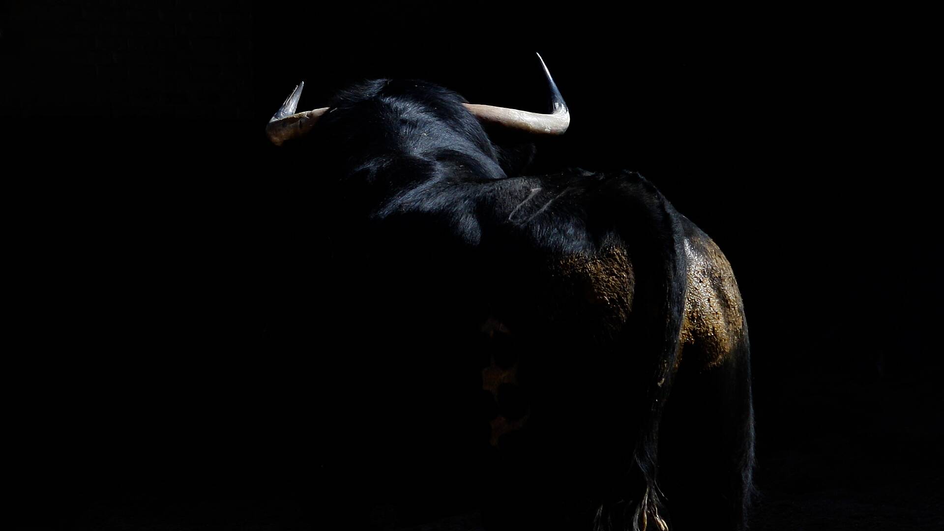 Por las Rutas del... (T2020): Santiago Domecq (2020) | Movistar Plus+